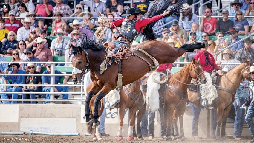 Kolby Wanchuk punches NFR ticket with Pendleton Round-Up title